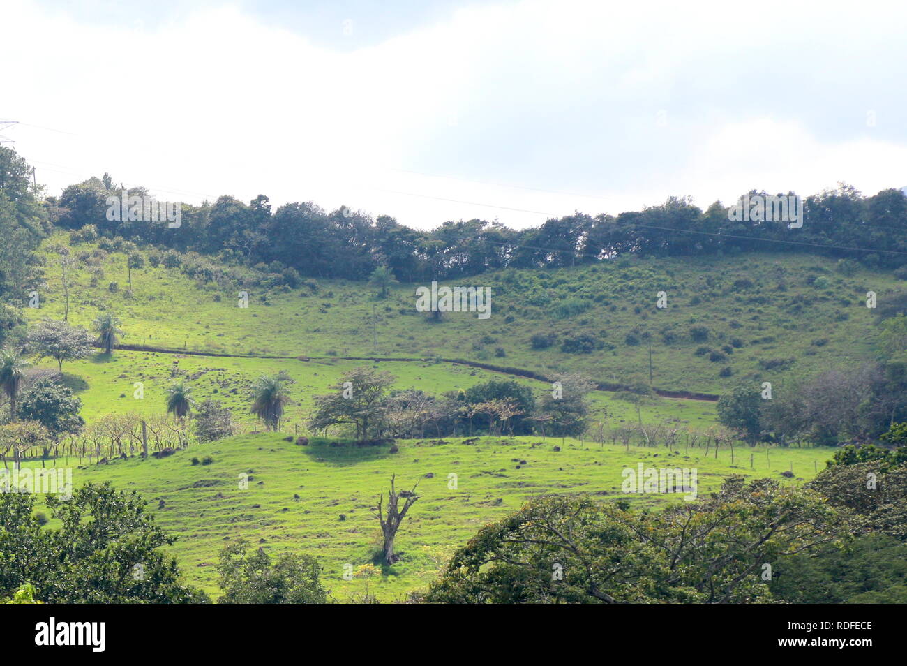 Monte verde costa rica hi-res stock photography and images - Alamy
