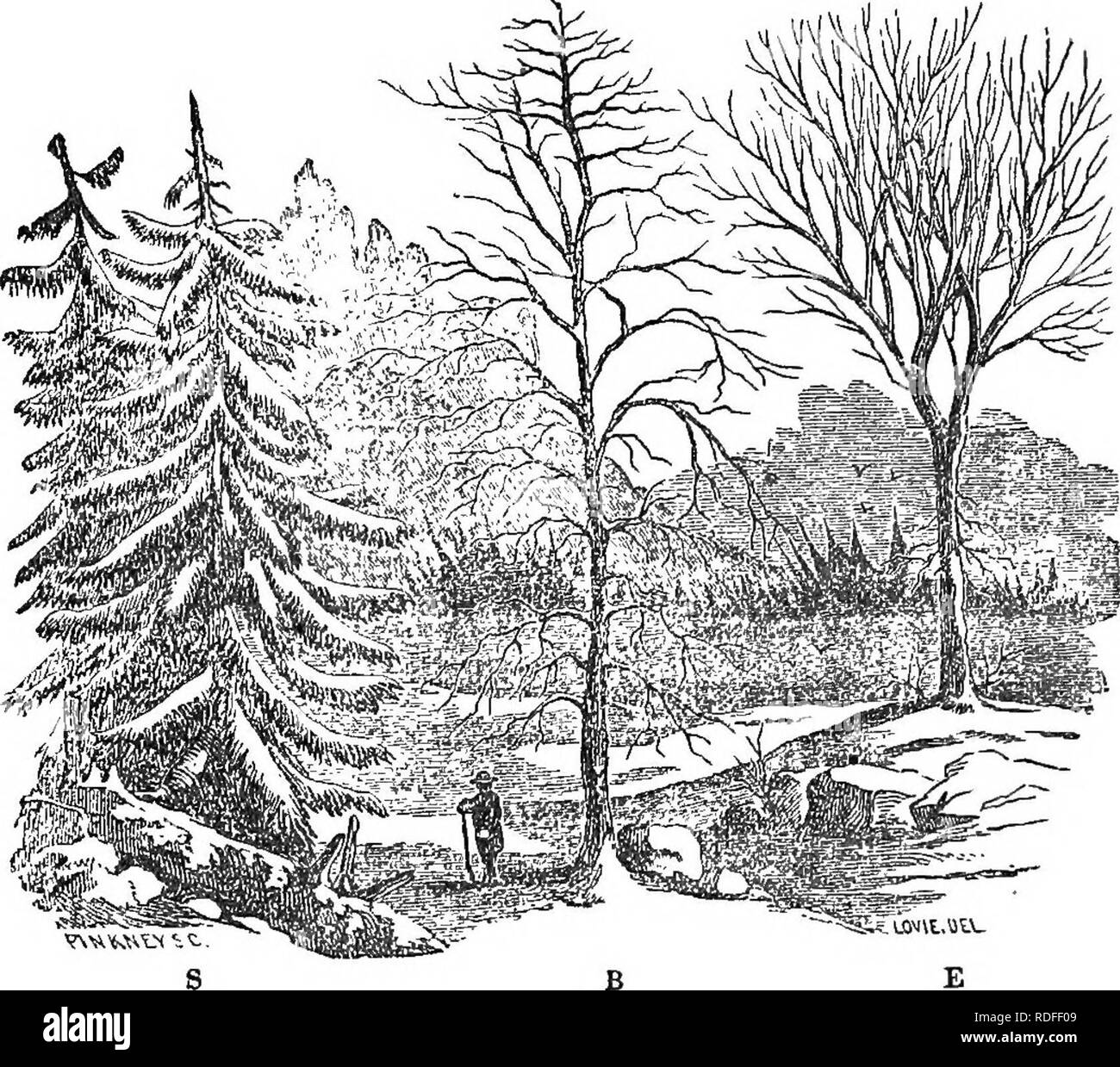 Aerial presence Black and White Stock Photos & Images - Alamy