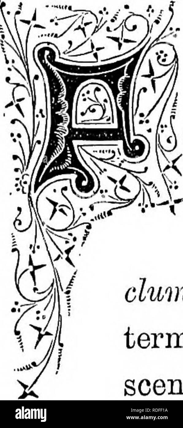 . Gilpin's forest scenery;. Trees; Landscape; Forests and forestry ...
