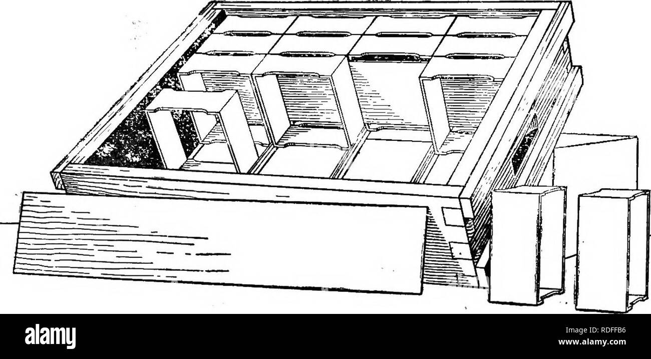 . Comb honey. Honeycombs; Bees; Honey, Comb. 00MB HONEY. 13 tratiTe of ...