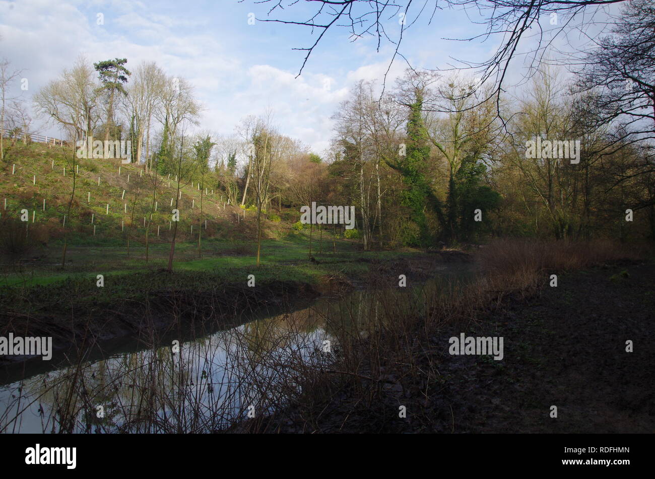 The Macmillan Way. Long-distance trail. Somerset. England. UK Stock ...