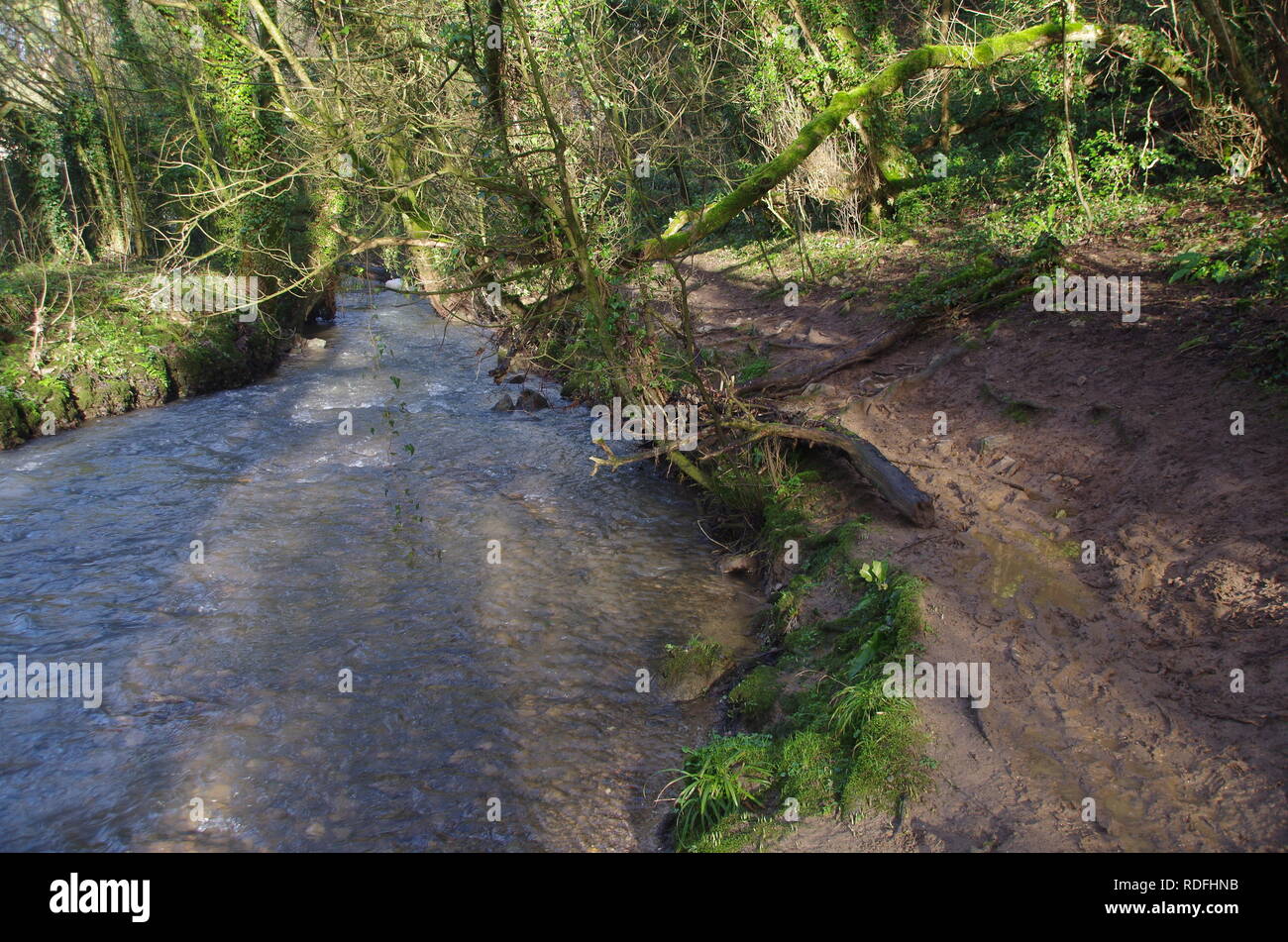 The Macmillan Way. Long-distance trail. Somerset. England. UK Stock ...