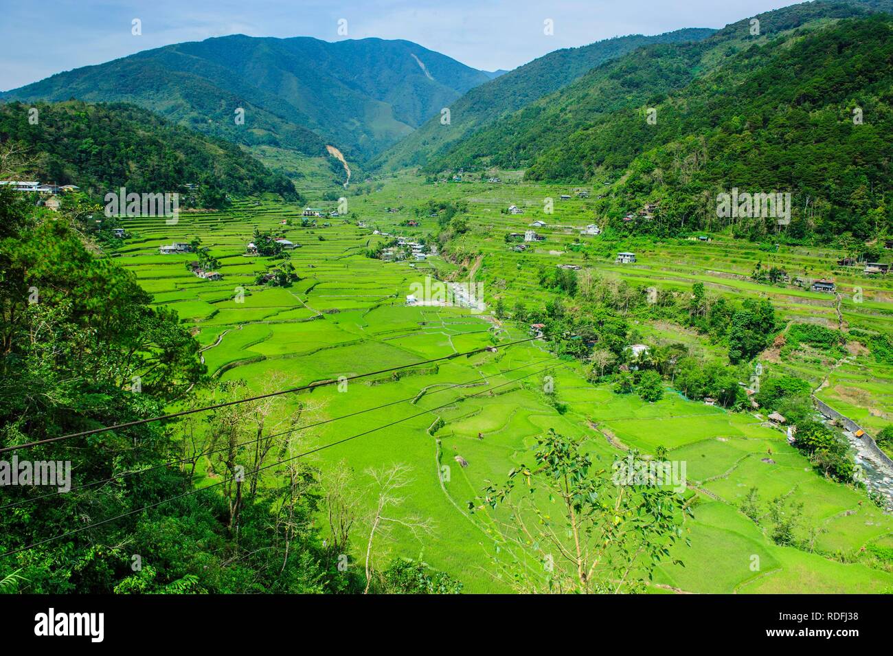 Hapao rice terraces, part of the world heritage sight Banaue, Luzon ...