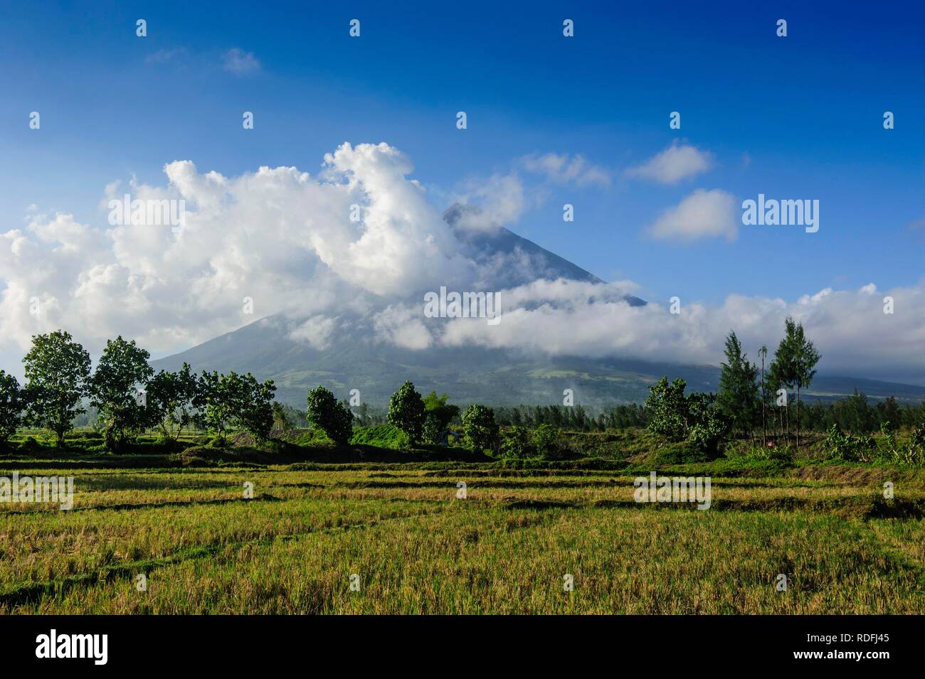 Volcano Mayon, Legazpi, Southern Luzon, Philippines Stock Photo - Alamy