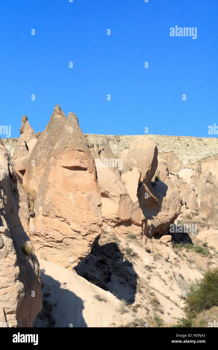 Spiked features hi-res stock photography and images - Alamy