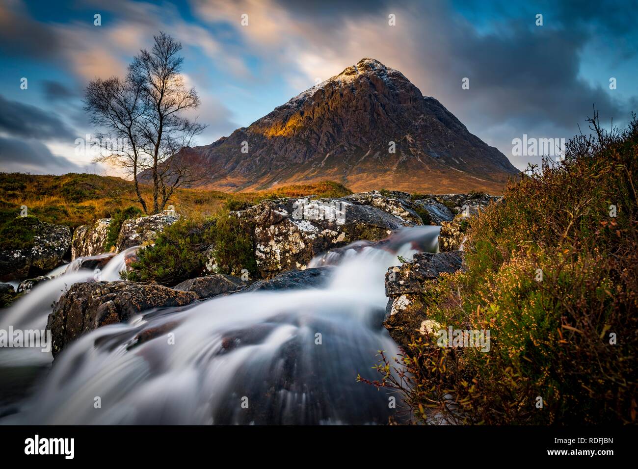 Small waterfall with Birch (Betula) and summit of Stob Dearg in the ...