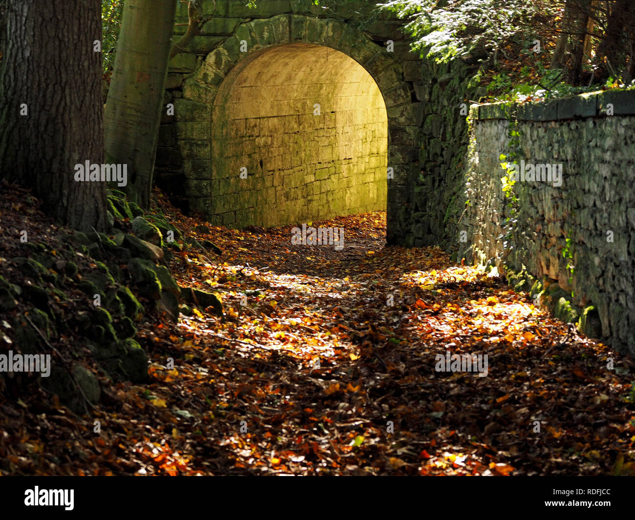 golden Autumn sunshine filters through stone archway with fallen leaves ...