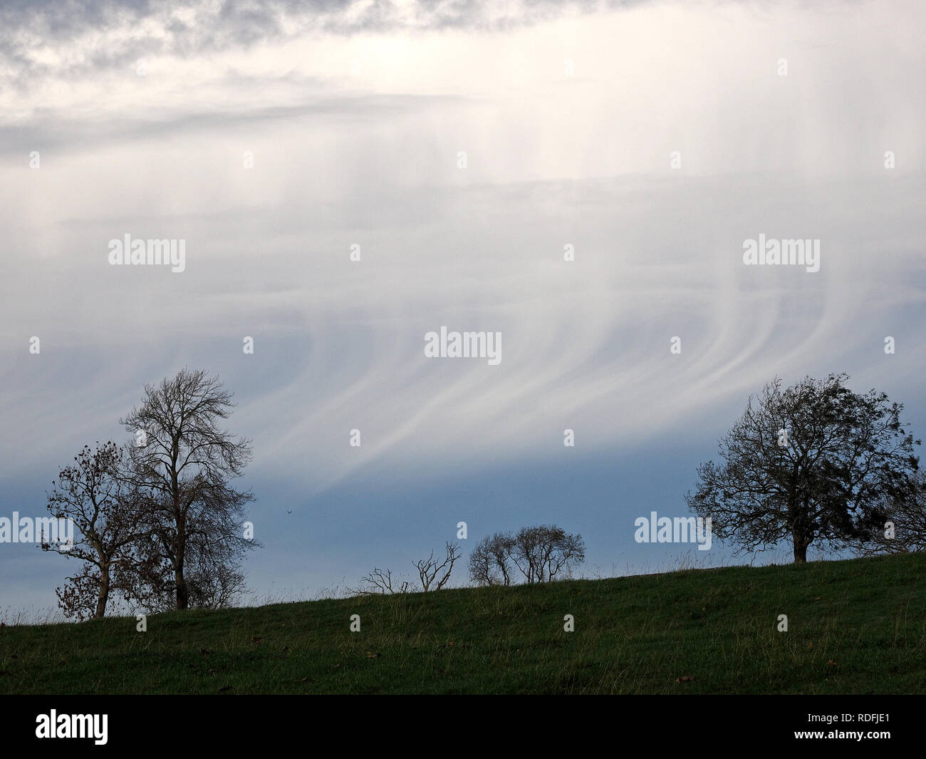 rural landscape with trees in Cumbria, England, UK featuring background ...