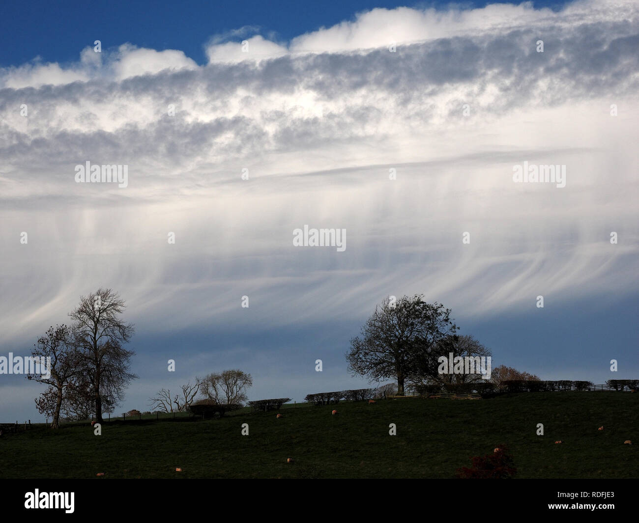 rural landscape with trees in Cumbria, England, UK featuring background ...
