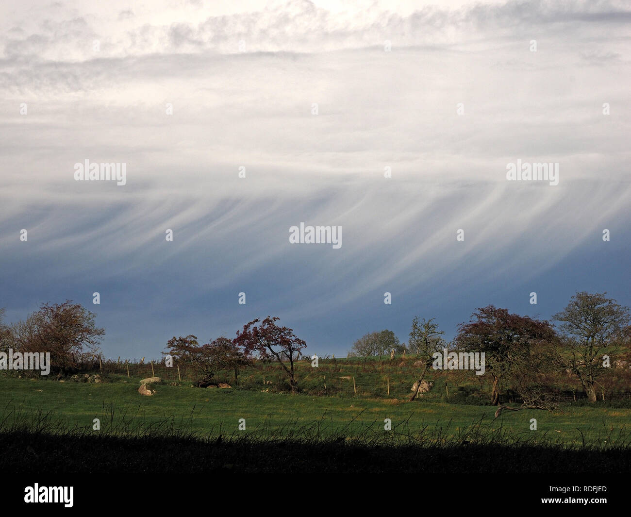 rural landscape with trees in Cumbria, England, UK featuring background ...
