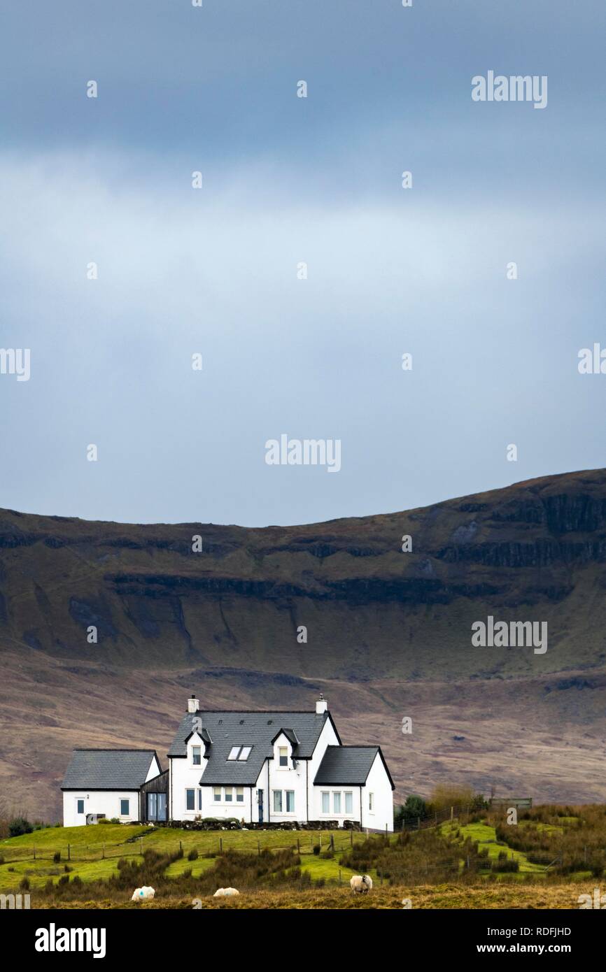 Single house with sheep in the foreground in Highland countryside ...