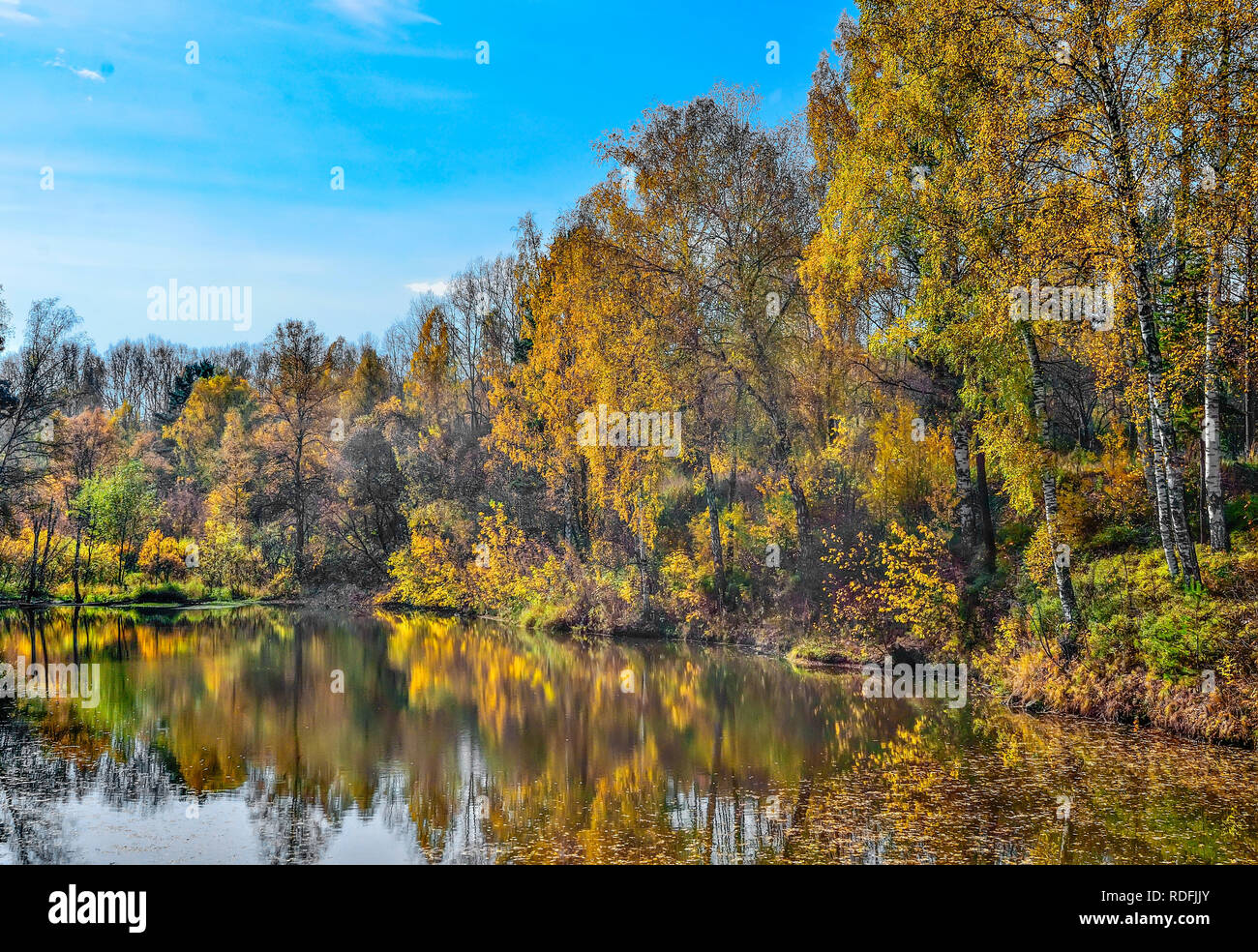 Golden foliage of fall trees around the lake reflected in water of lake ...