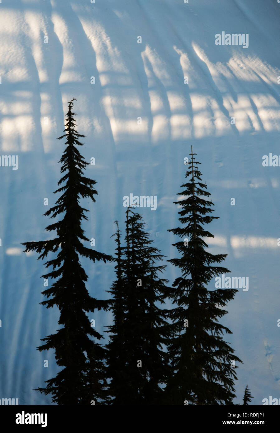 Mountains trees hi-res stock photography and images - Alamy