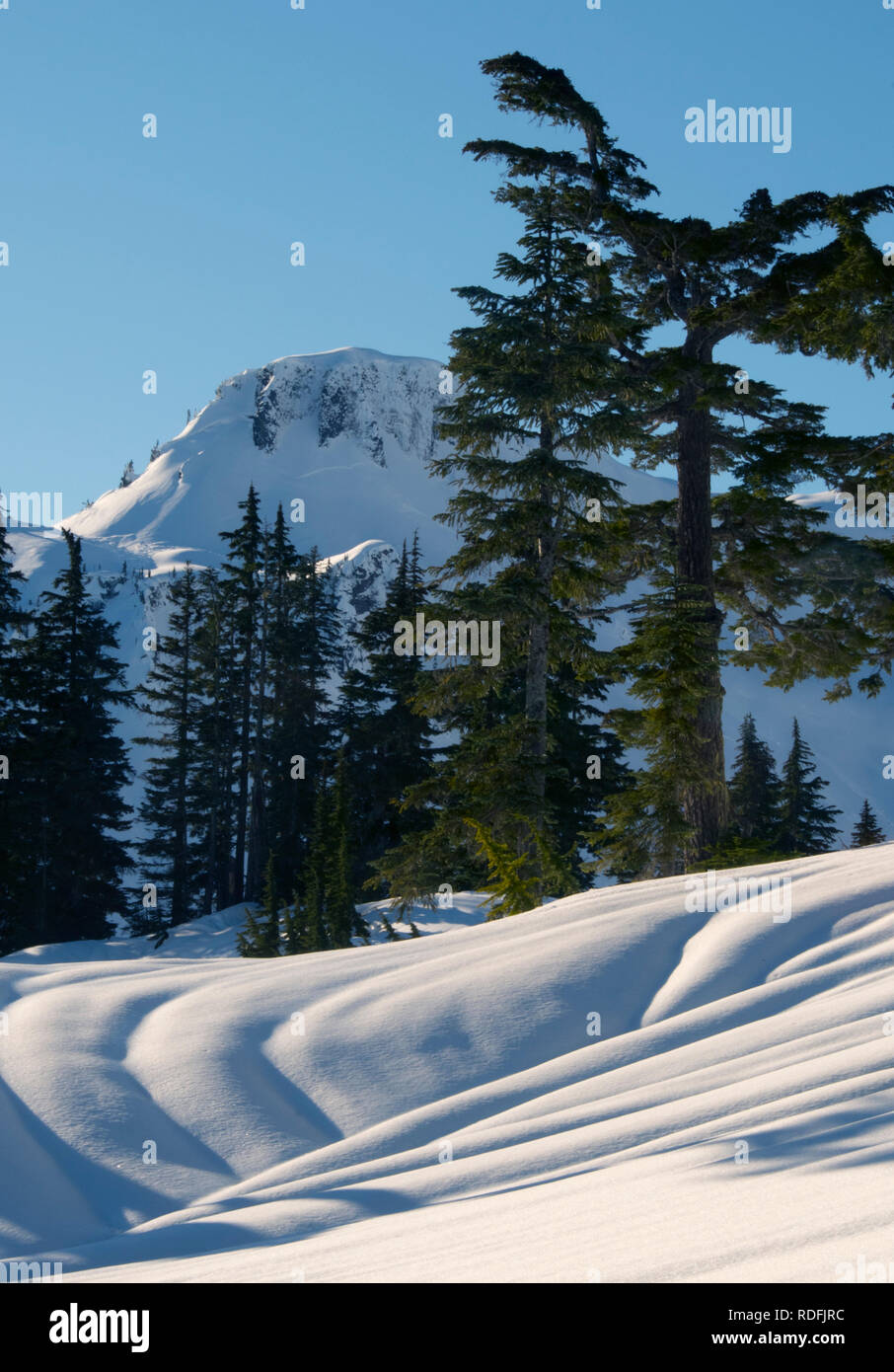 North cascade mountains hi-res stock photography and images - Alamy