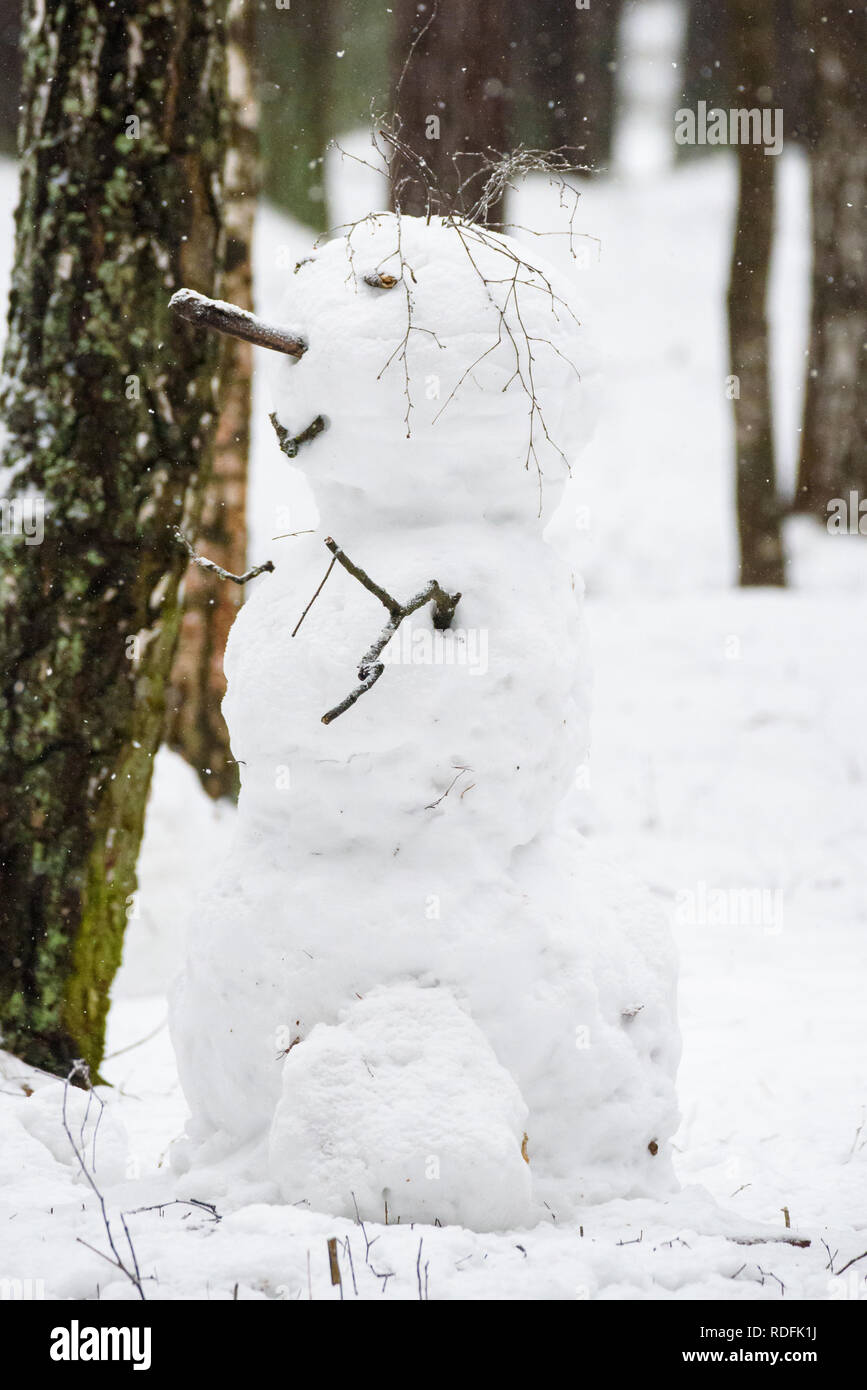 Snowman in forest hi-res stock photography and images - Alamy