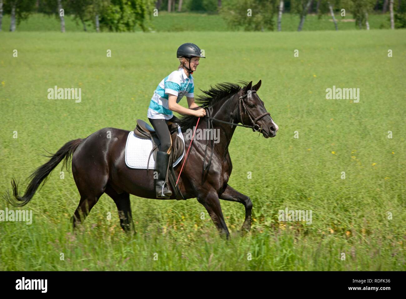 Teen boy riding horse hi-res stock photography and images - Alamy