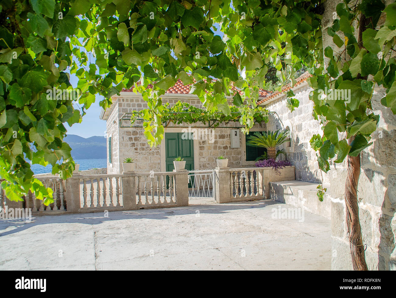 Traditional stone house and grape vine, Rose village, Boka Kotorska ...