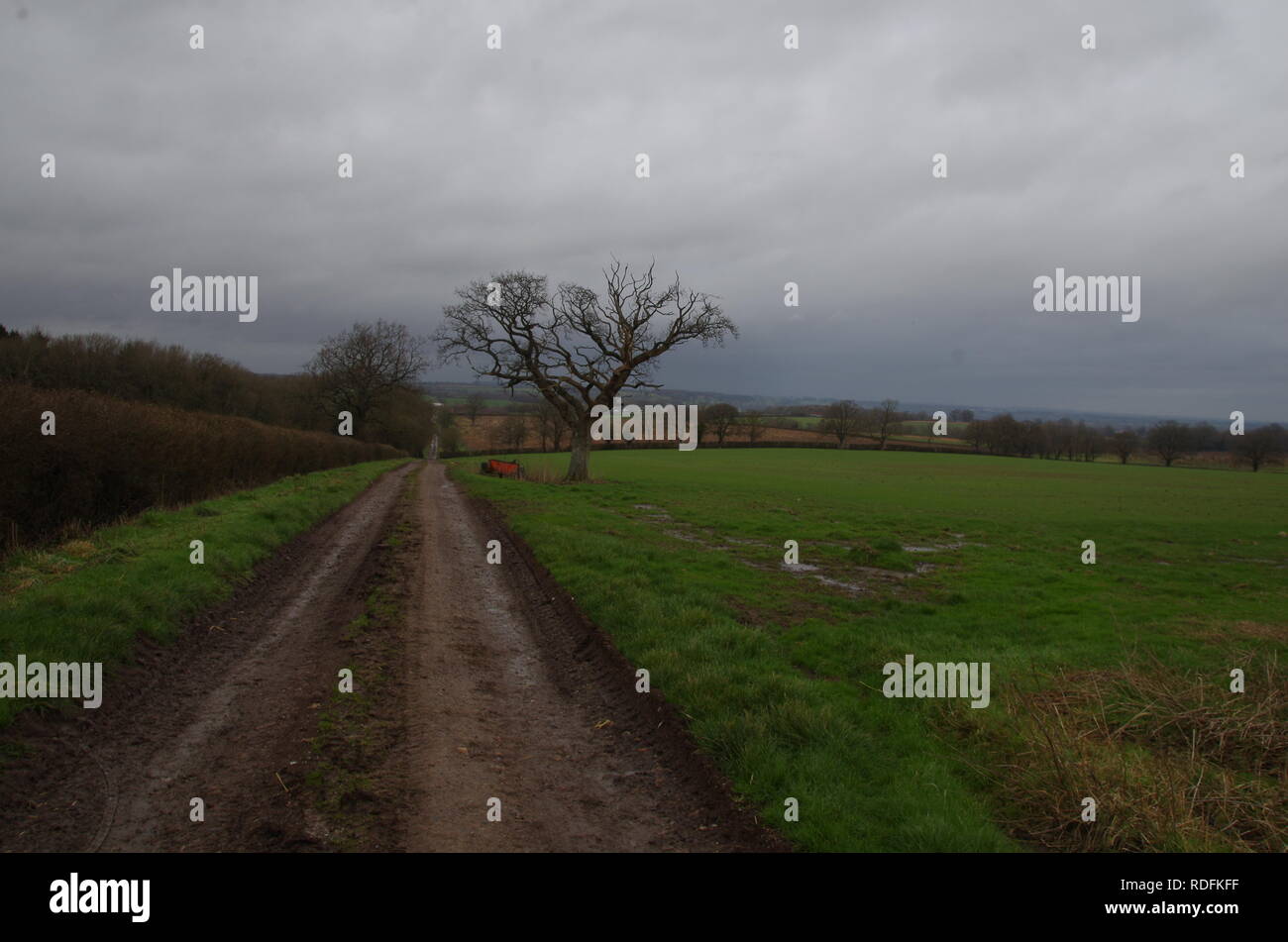 The Macmillan Way. Long-distance trail. Somerset. England. UK Stock ...