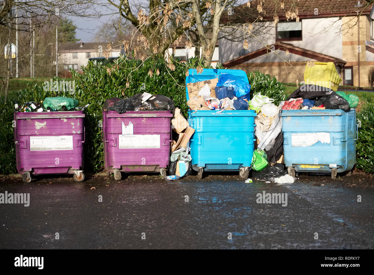 Council rubbish containers on wheels for refuge garbage collection ...
