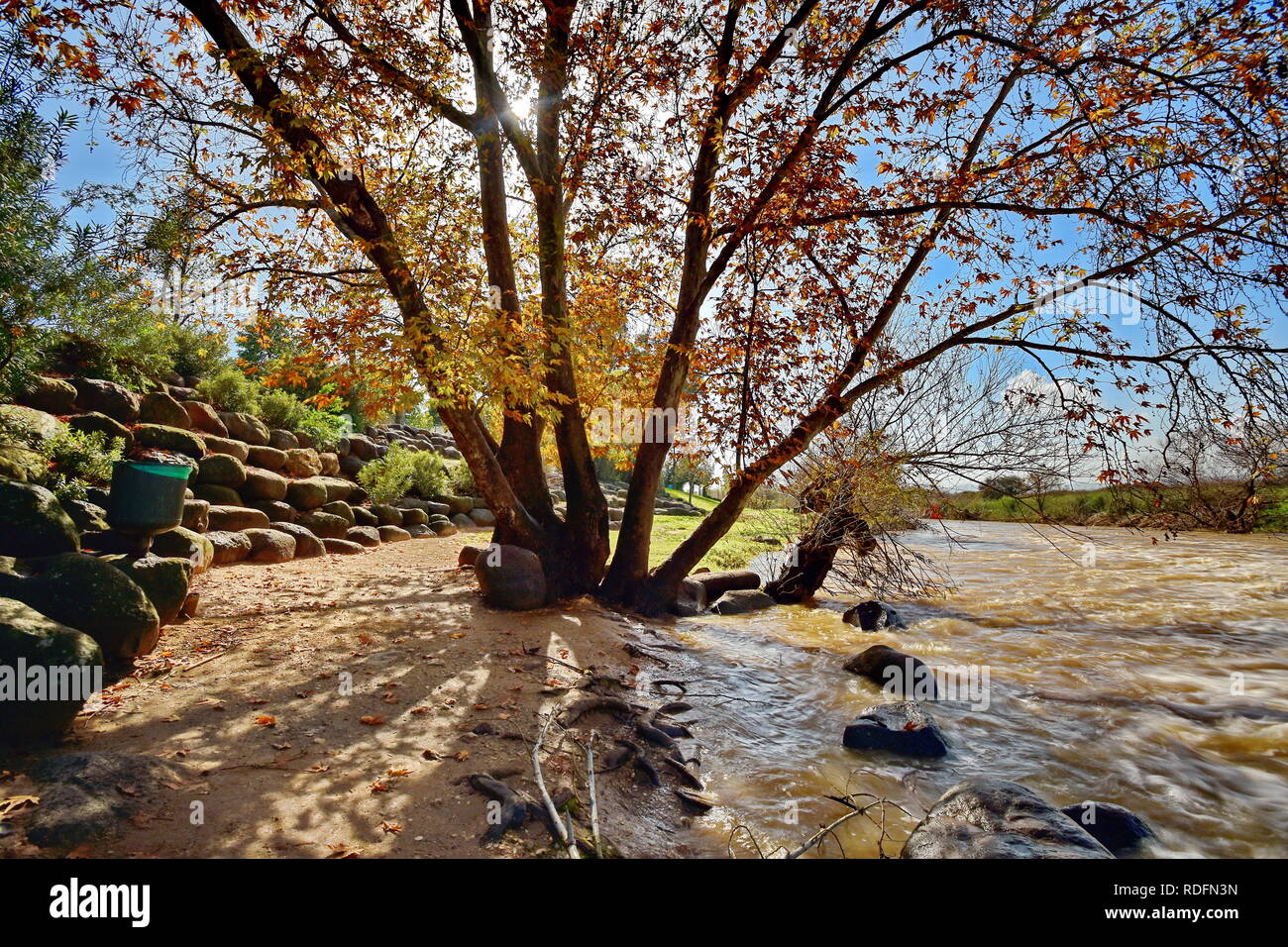 rivers and streams and waterfalls of Israel after heavy rainfall in ...