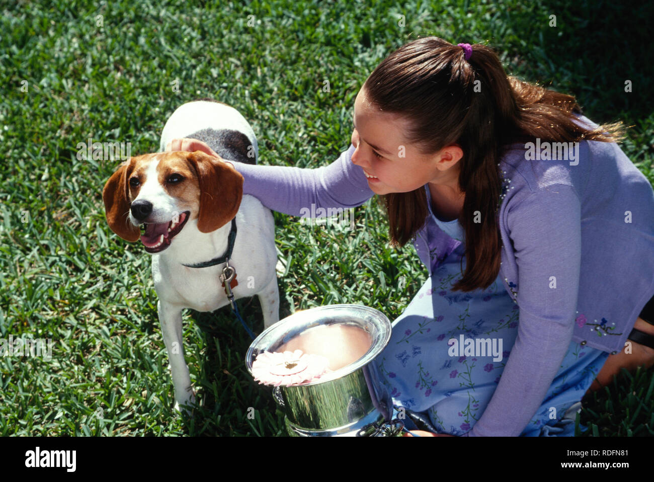 Beagle profile hi-res stock photography and images - Alamy