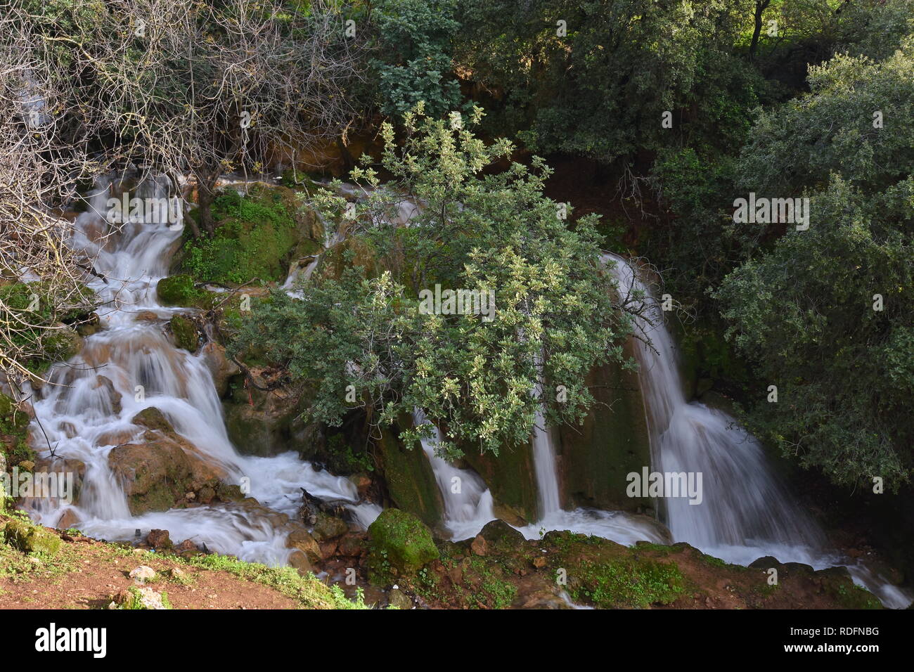 rivers and streams and waterfalls of Israel Stock Photo - Alamy