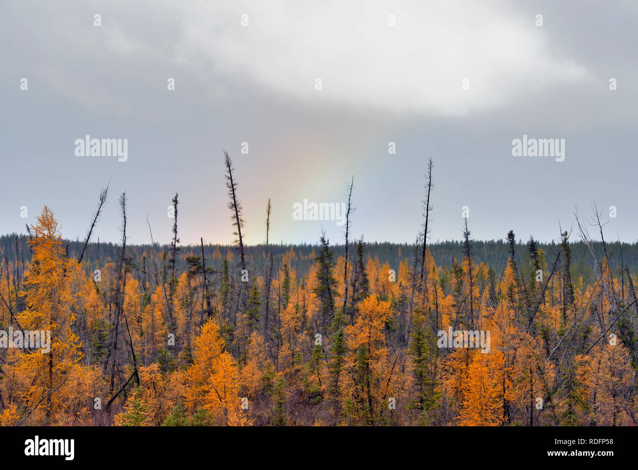 Fire Rainbow Diagram