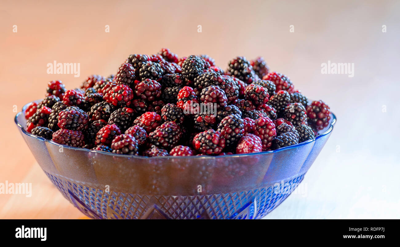 Bowl of wild blackberries in shades of deep red and black shot from ...