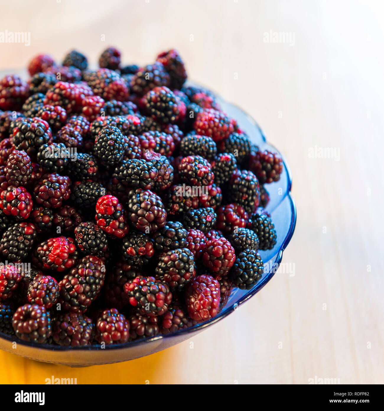 Bowl of wild blackberries in shades of deep red and black shot from ...