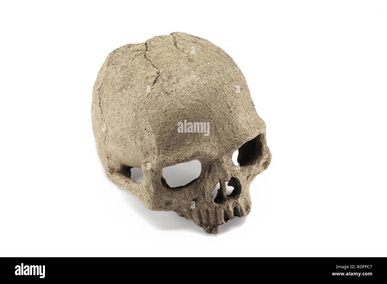 White pumpkin human skull hi-res stock photography and images - Alamy