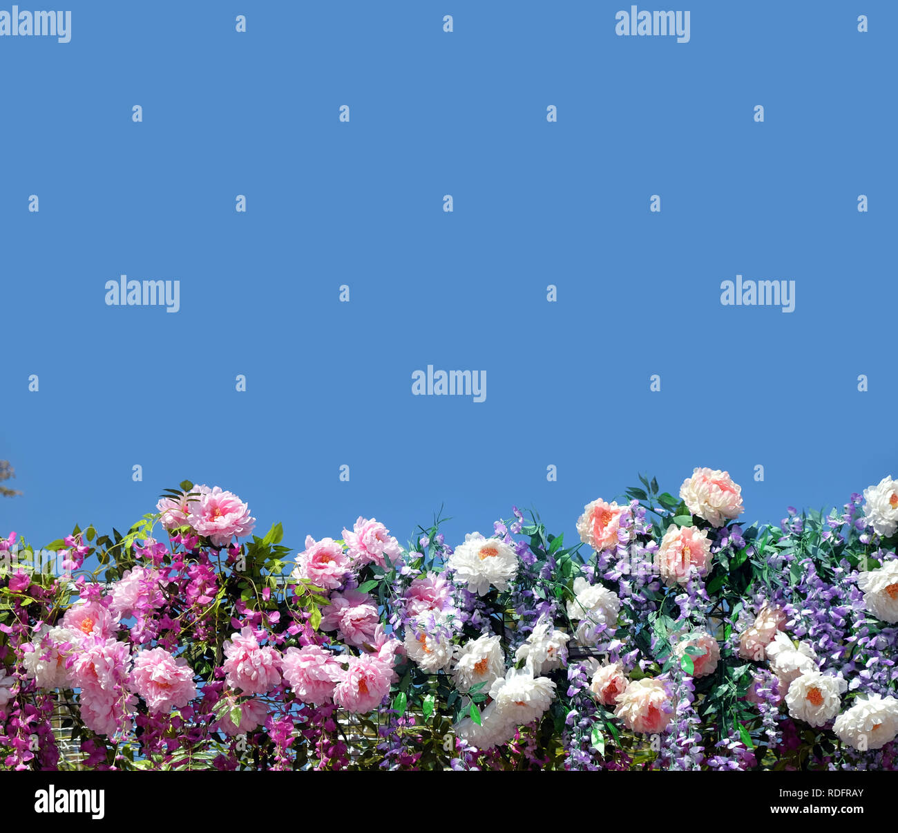 Decoration from many spring flowers at the bottom part on the image ...