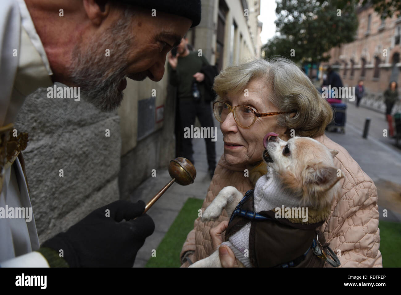 Priest blessing animal hi-res stock photography and images - Alamy