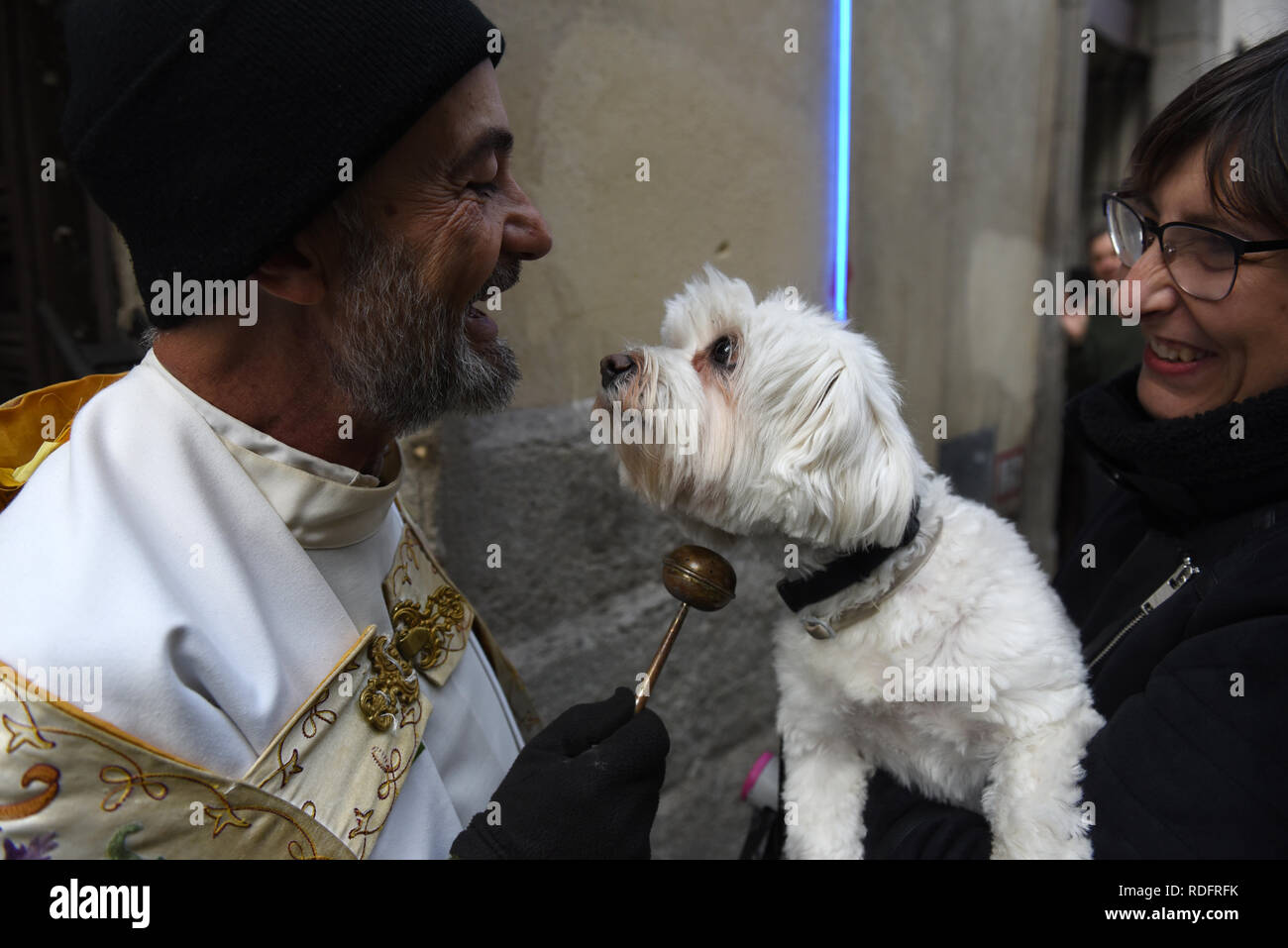 Patron dog hi-res stock photography and images - Alamy