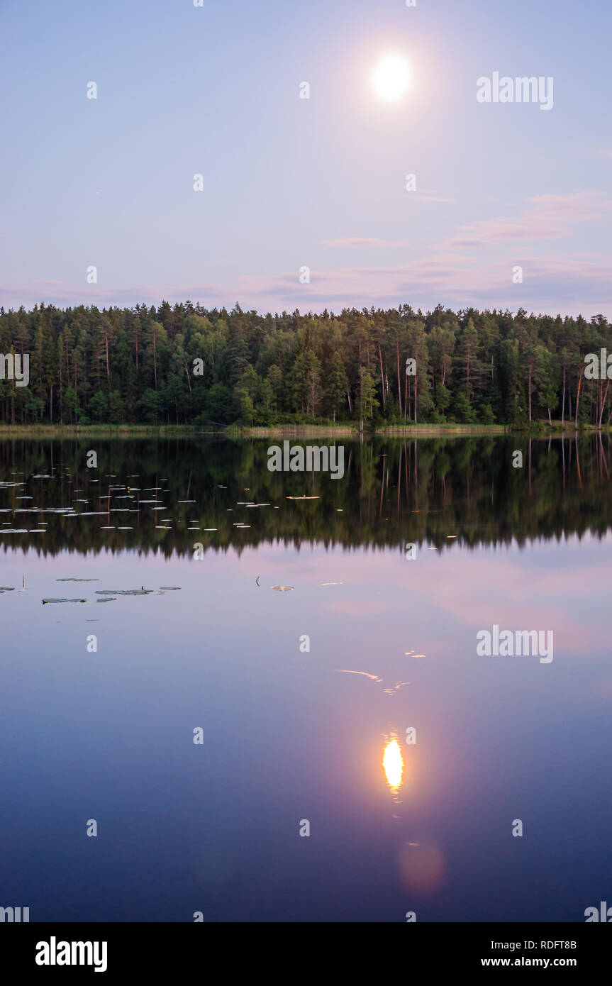 Scenic lake coast surrounded by green forest and early moon in the sky ...