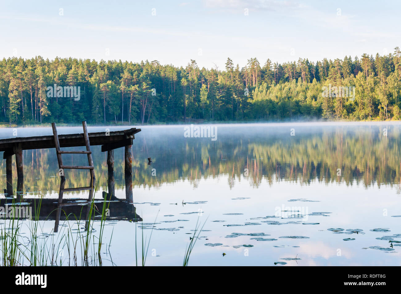 Old wooden pier with ladder on still foggy lake with amazing forest on ...