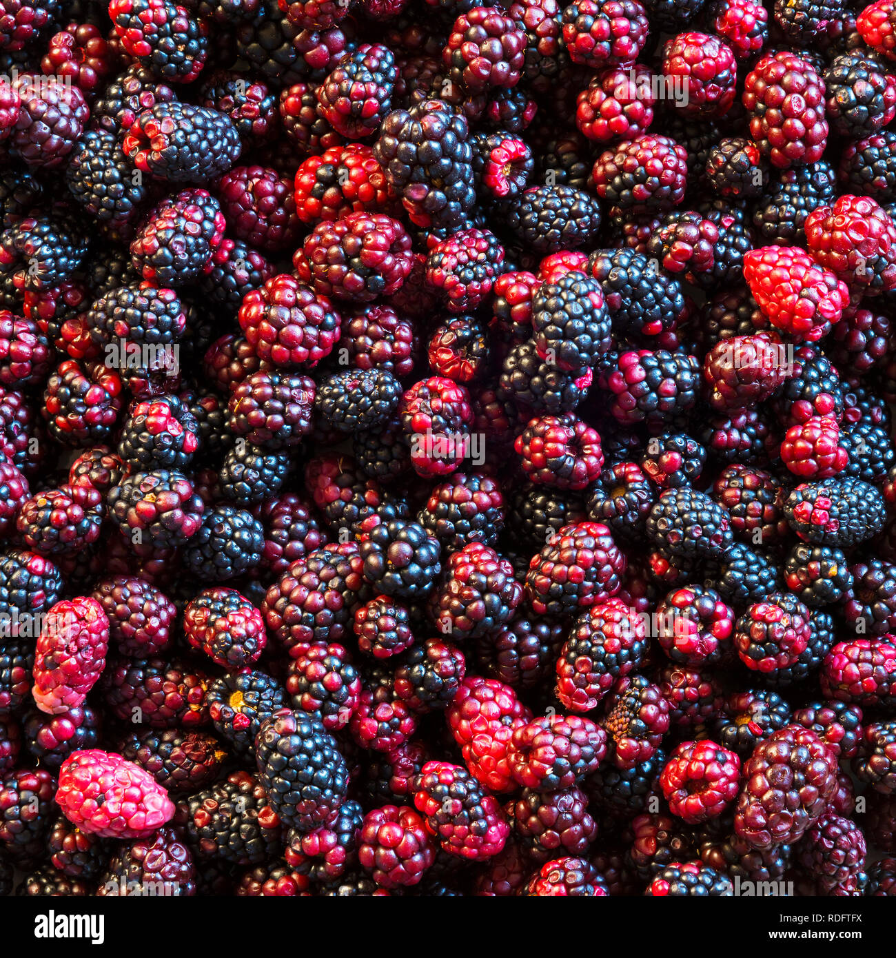 Variety of colours hi-res stock photography and images - Alamy