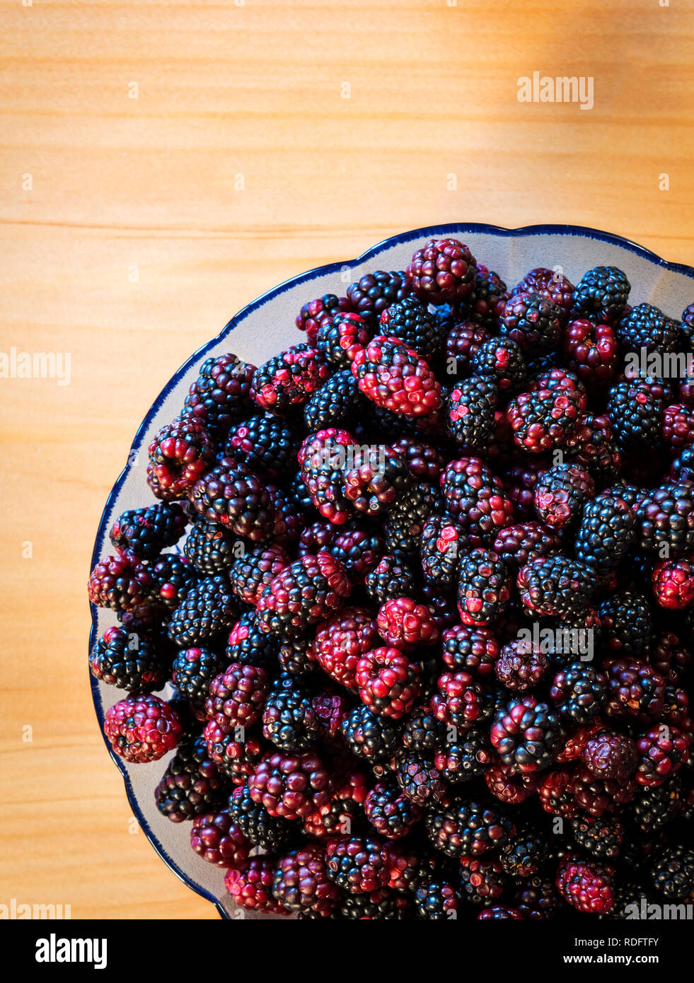 Bowl of wild blackberries in shades of deep red and black in shallow ...