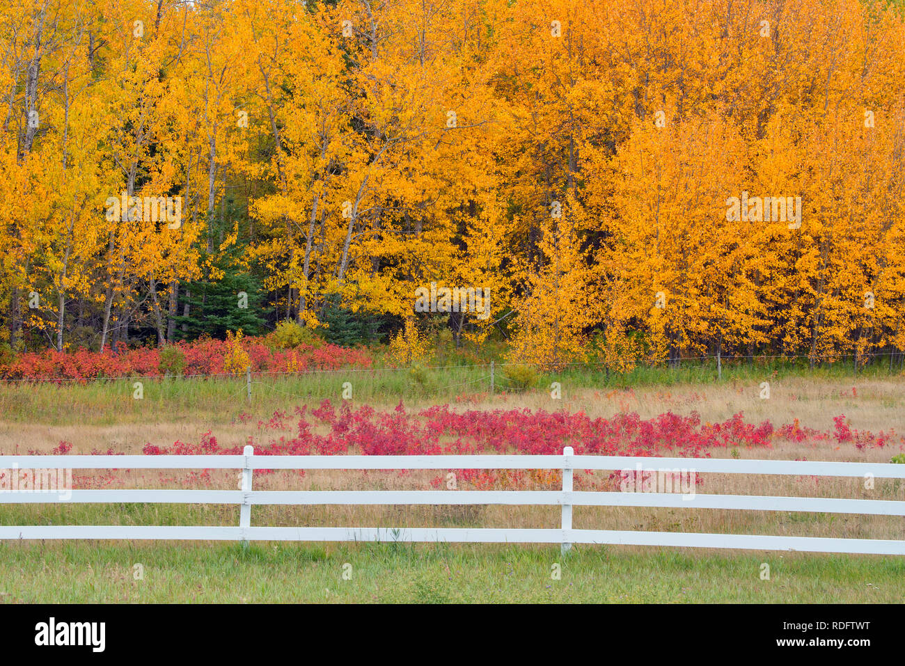 Aspen properties hi-res stock photography and images - Alamy