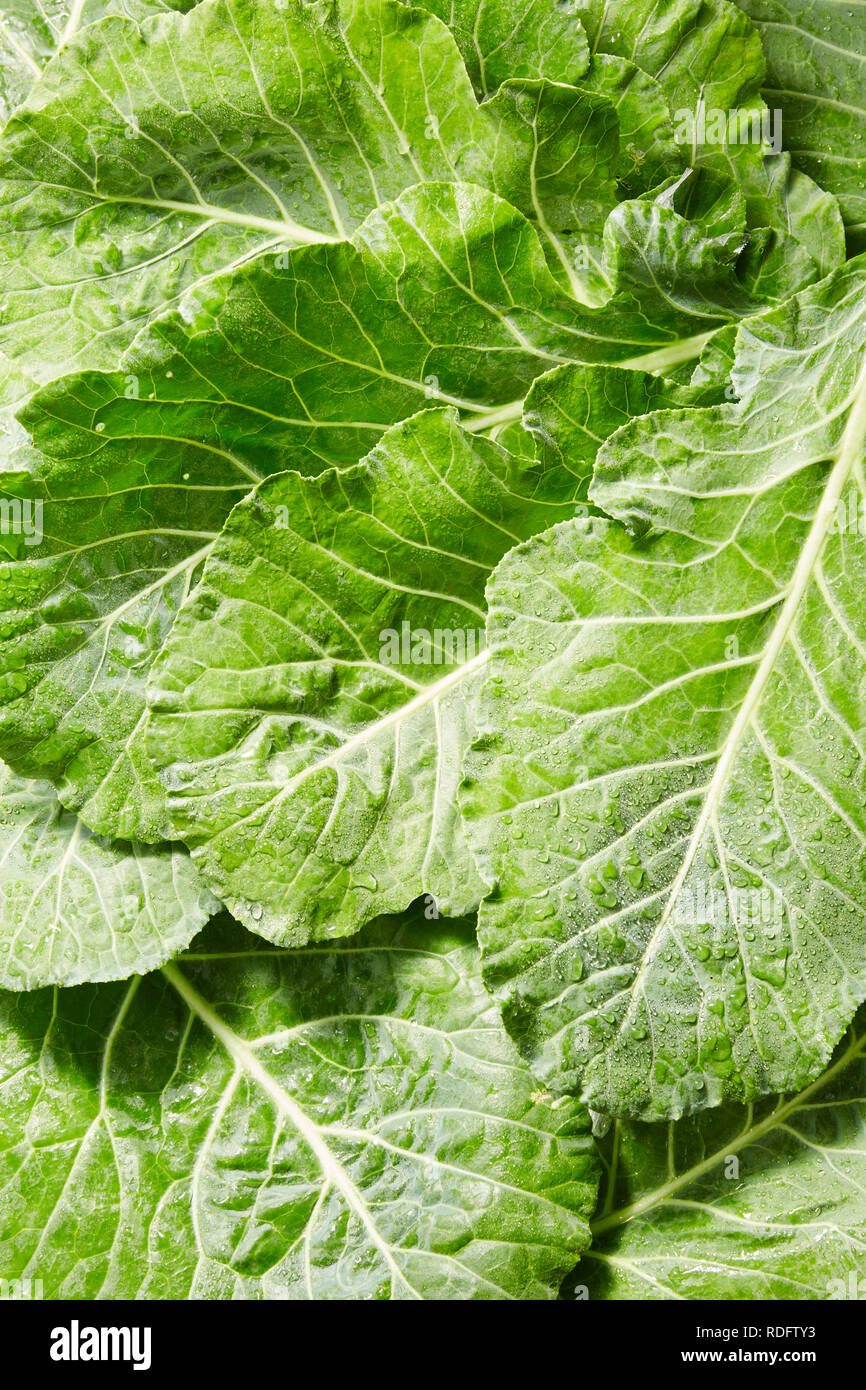 Kale leaf cutout hi-res stock photography and images - Alamy