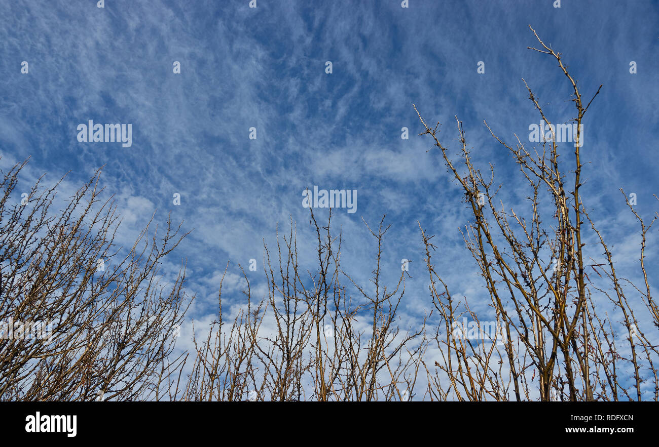 Brisk day hi-res stock photography and images - Alamy