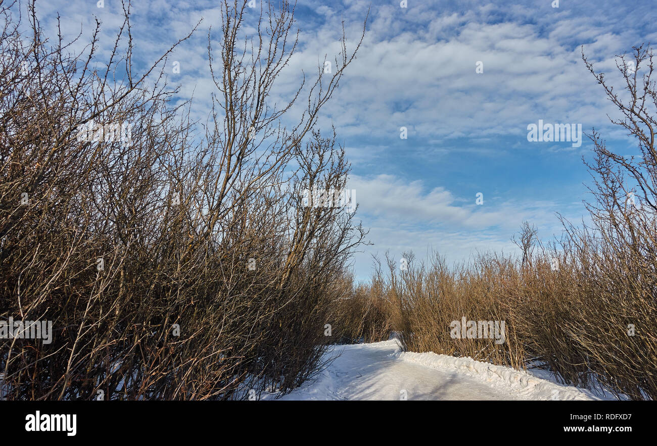 Brisk day hi-res stock photography and images - Alamy