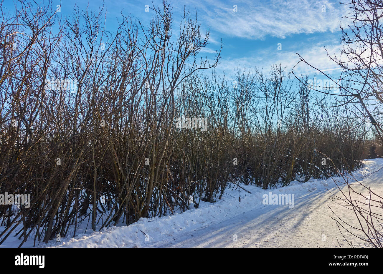 Brisk day hi-res stock photography and images - Alamy