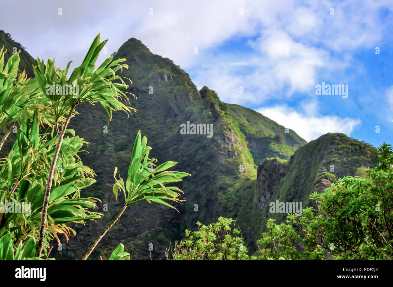 Tropical Iao Valley landscape scene. Natural foliage with majestic ...