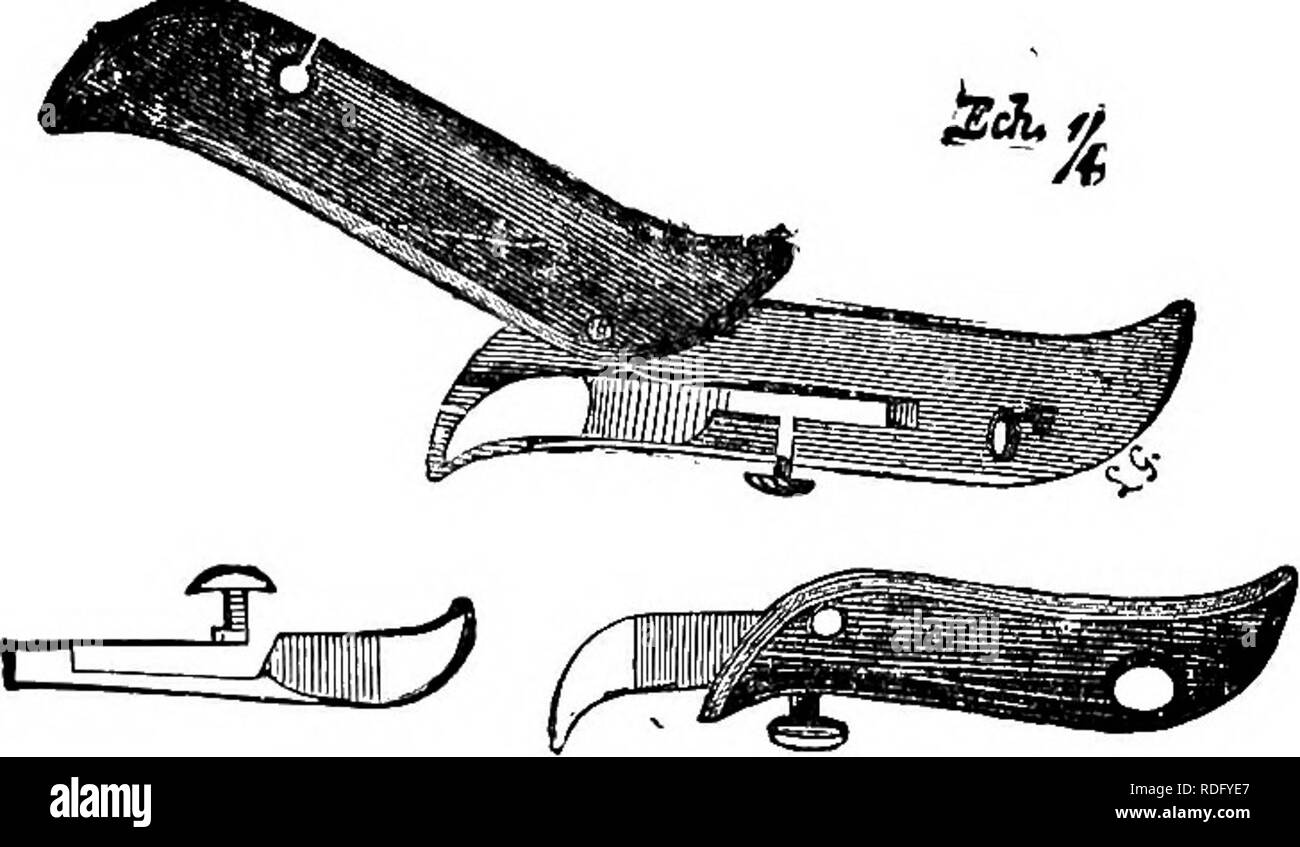 . Animal castration. Castration. ANIMAL dASTRATlON. 137 Fia. 30 ...