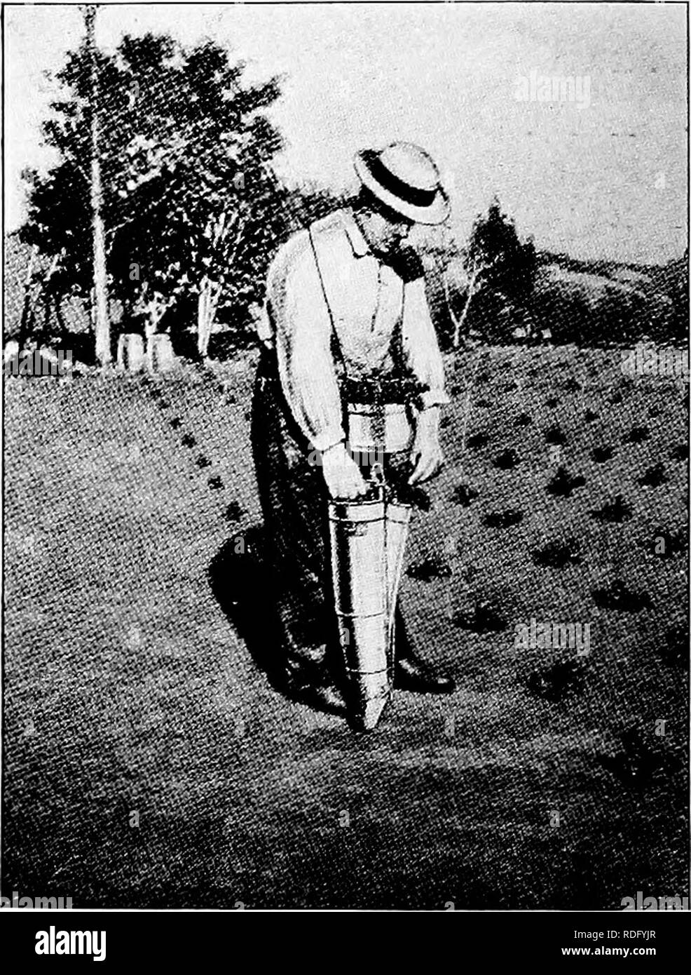 Setting down roots hi-res stock photography and images - Alamy