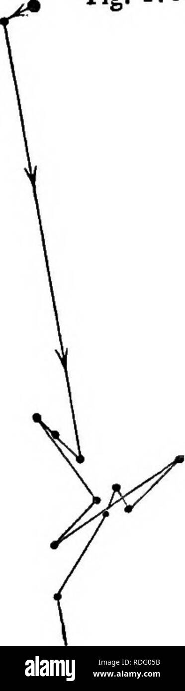 1809 m Black and White Stock Photos & Images - Alamy