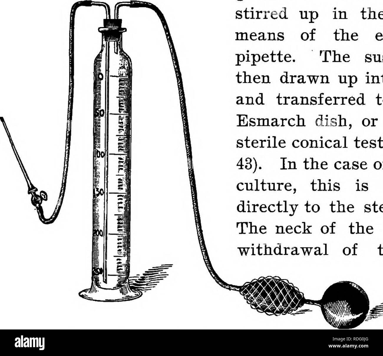 Bacterial growth tube hi-res stock photography and images - Alamy