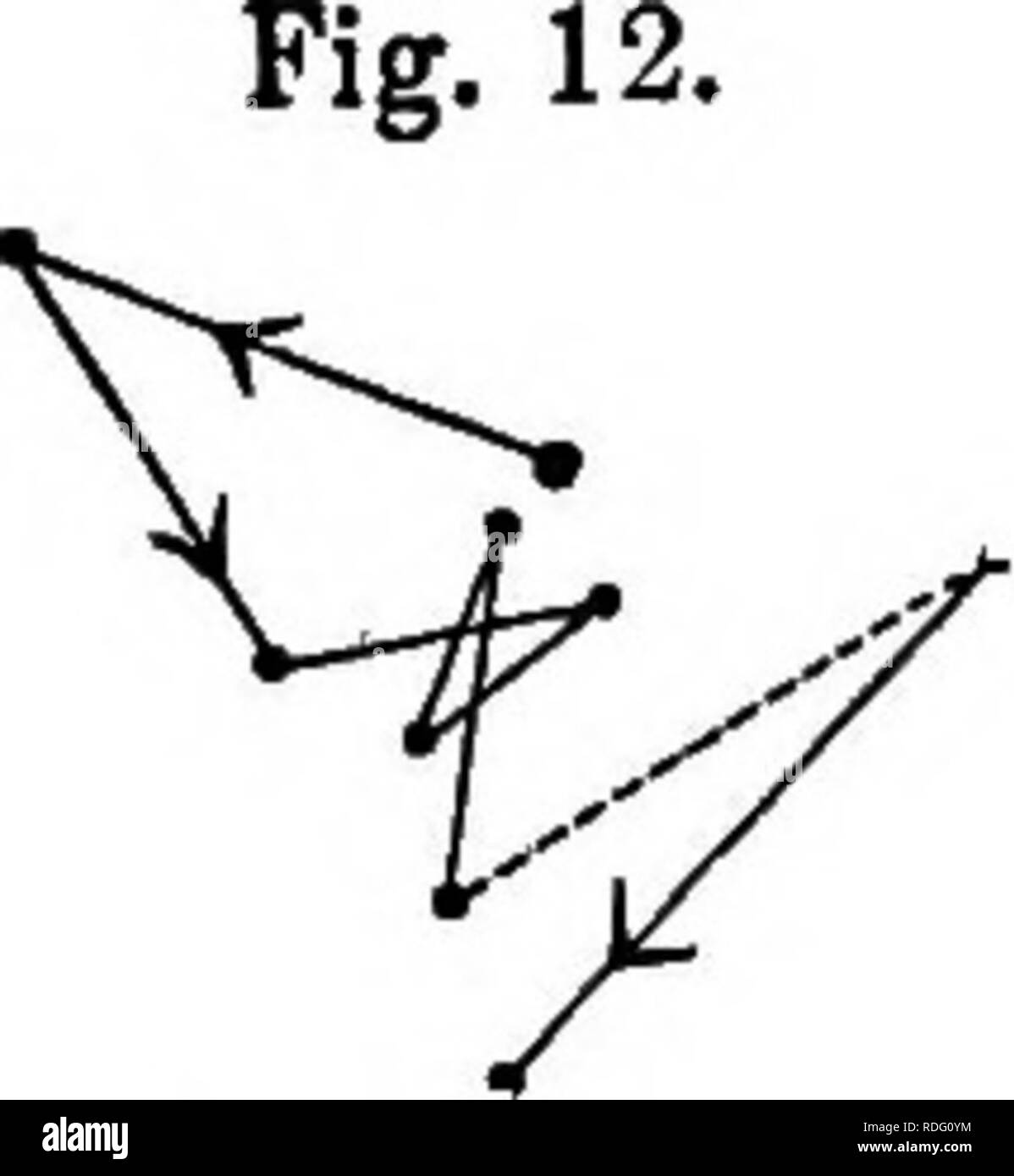 Hypocotyl Black and White Stock Photos & Images - Alamy