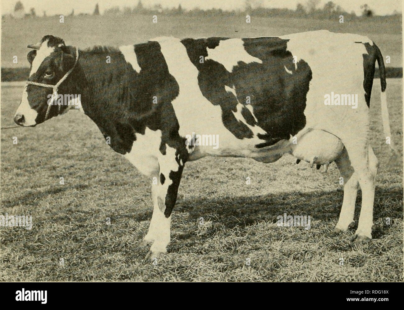 . The effect of the age of sire and dam on the quality of offspring in ...