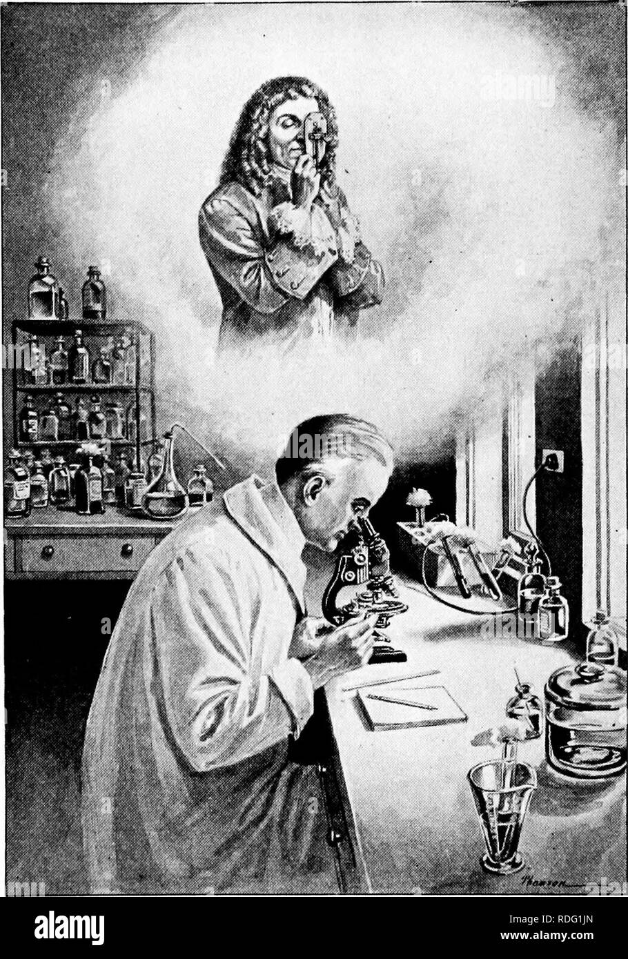 . Bacteria, yeasts and molds in the home. Bacteriology; Yeast fungi ...
